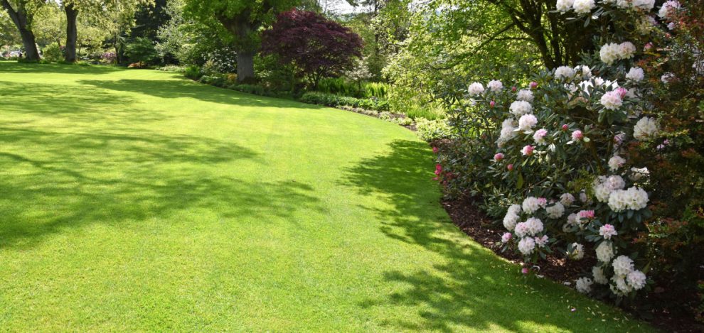 How to Lay Turf - Our Expert Guide