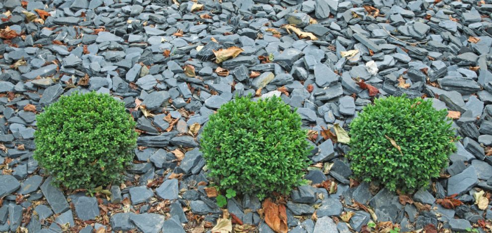 Creative Ways to Use Slate Chippings in Your Garden
